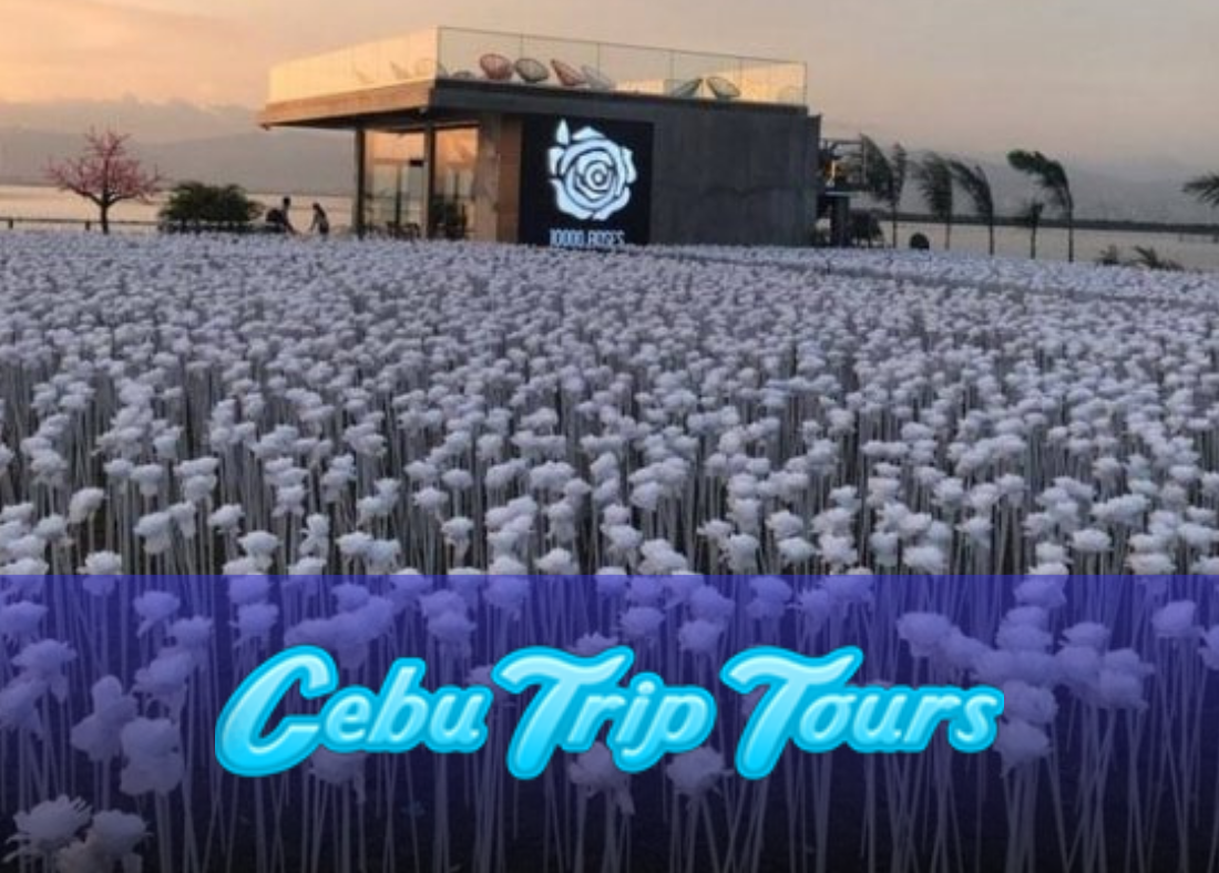 Book CT06 - Private Cebu City Tour & 10 Thousand Roses with Dinner