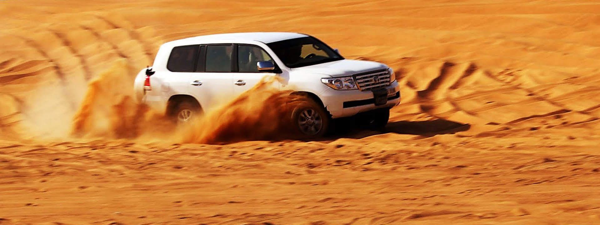 Tour Dubai Early Risers Desert Drive Tour