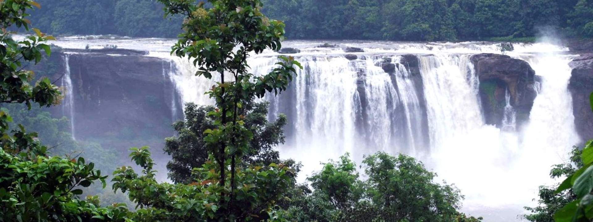 ทัวร์ Athirappilly Falls Day Tour from Cochin