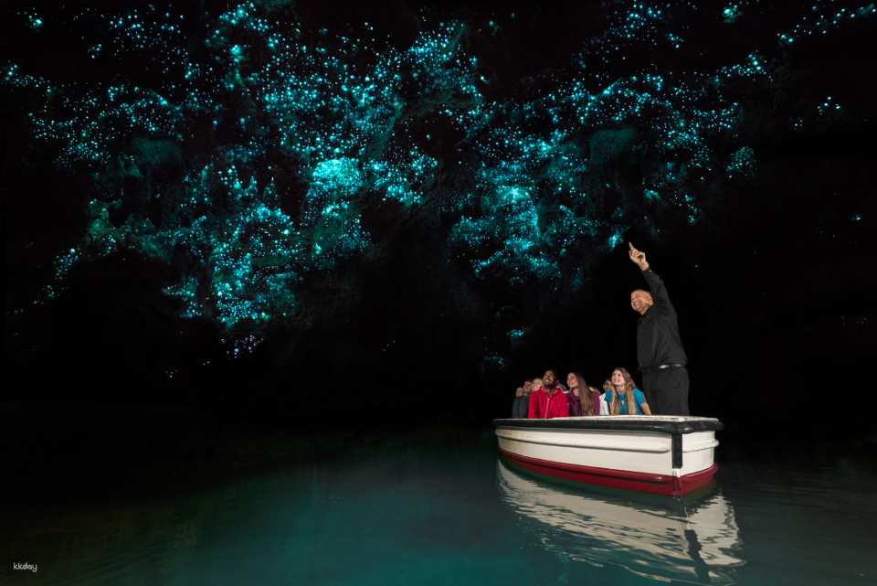 Book Waitomo Glowworm Caves Guided Tour