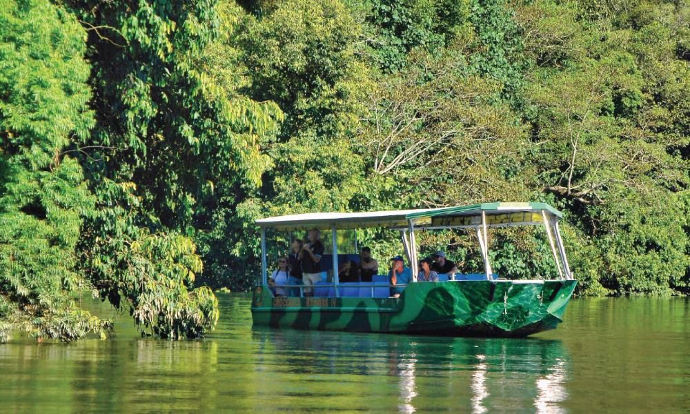 Crocodile Express Daintree Cruise from Daintree Gateway Ticket