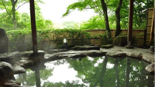 Book Relaxing Hot Spring Half Day Tour in Beitou with Private Tour Guide
