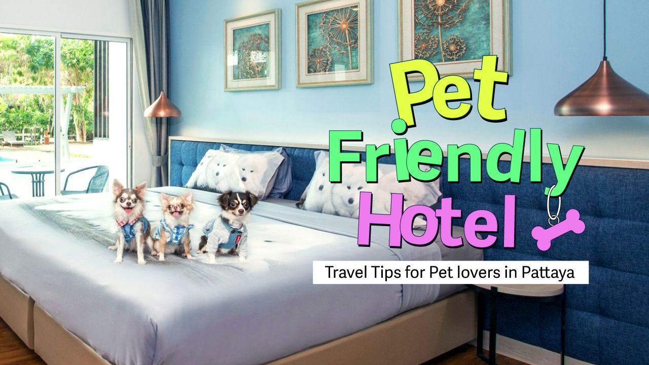 Travel Tips for Pet lovers & Pet Friendly Hotels in Pattaya